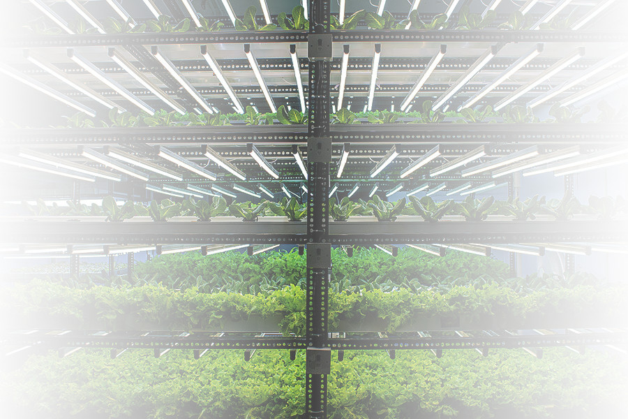 Pulverizadores - Calplot Pulverizadores 1, 2 y 5 litros